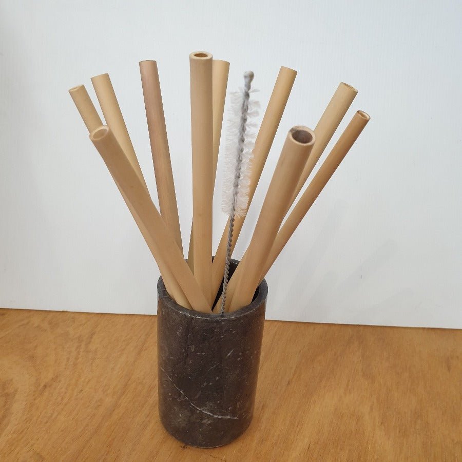 Eco Bamboo Straws Set of 10 with Brush-World Of Decor