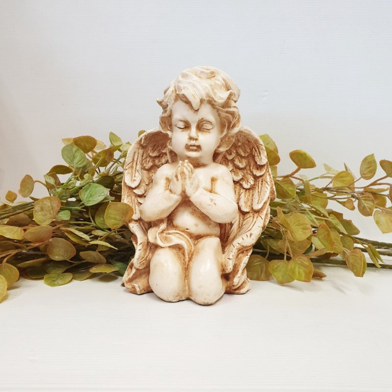 Angel-Bone Colour-World Of Decor